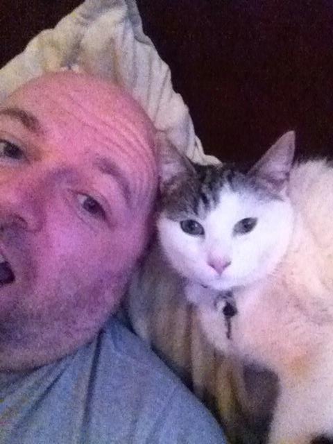 Roger the JESC Cat – Eurovision Ireland