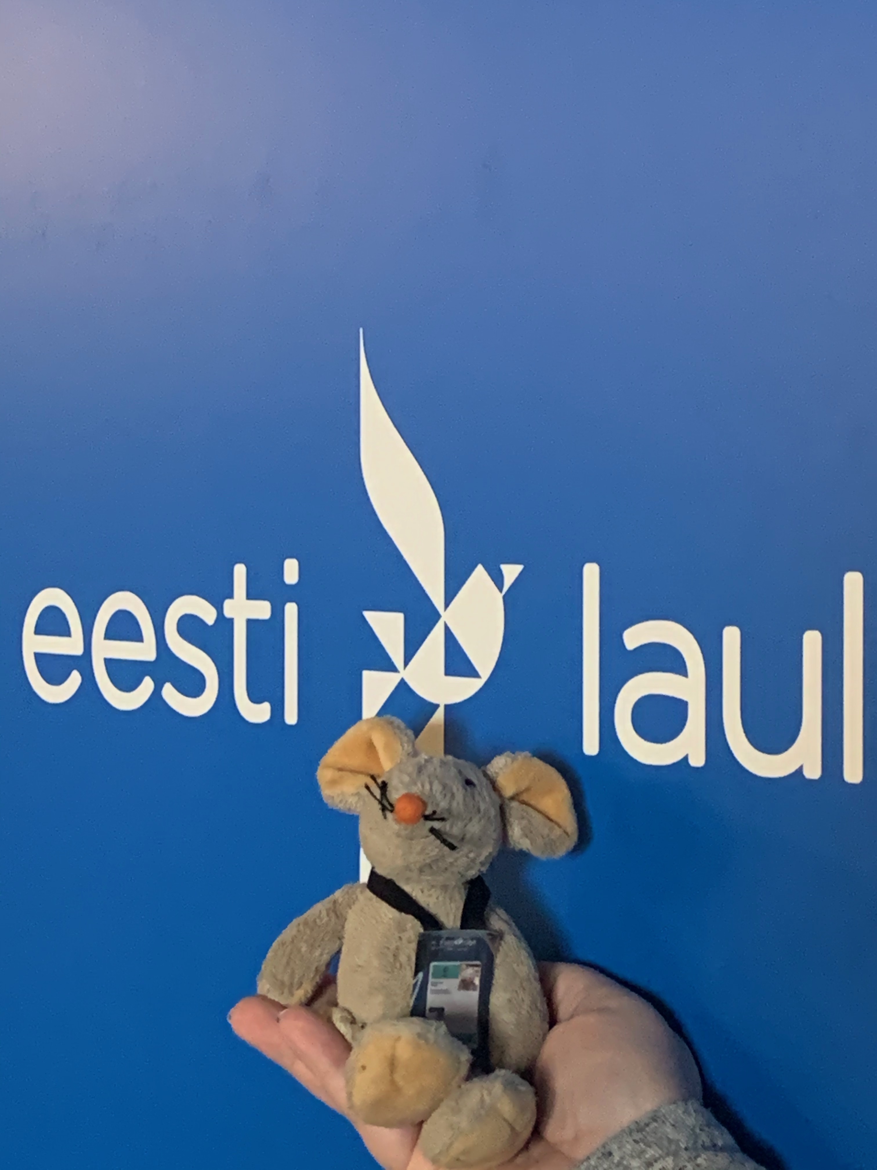 Staggy Ristamouse – Eurovision Ireland