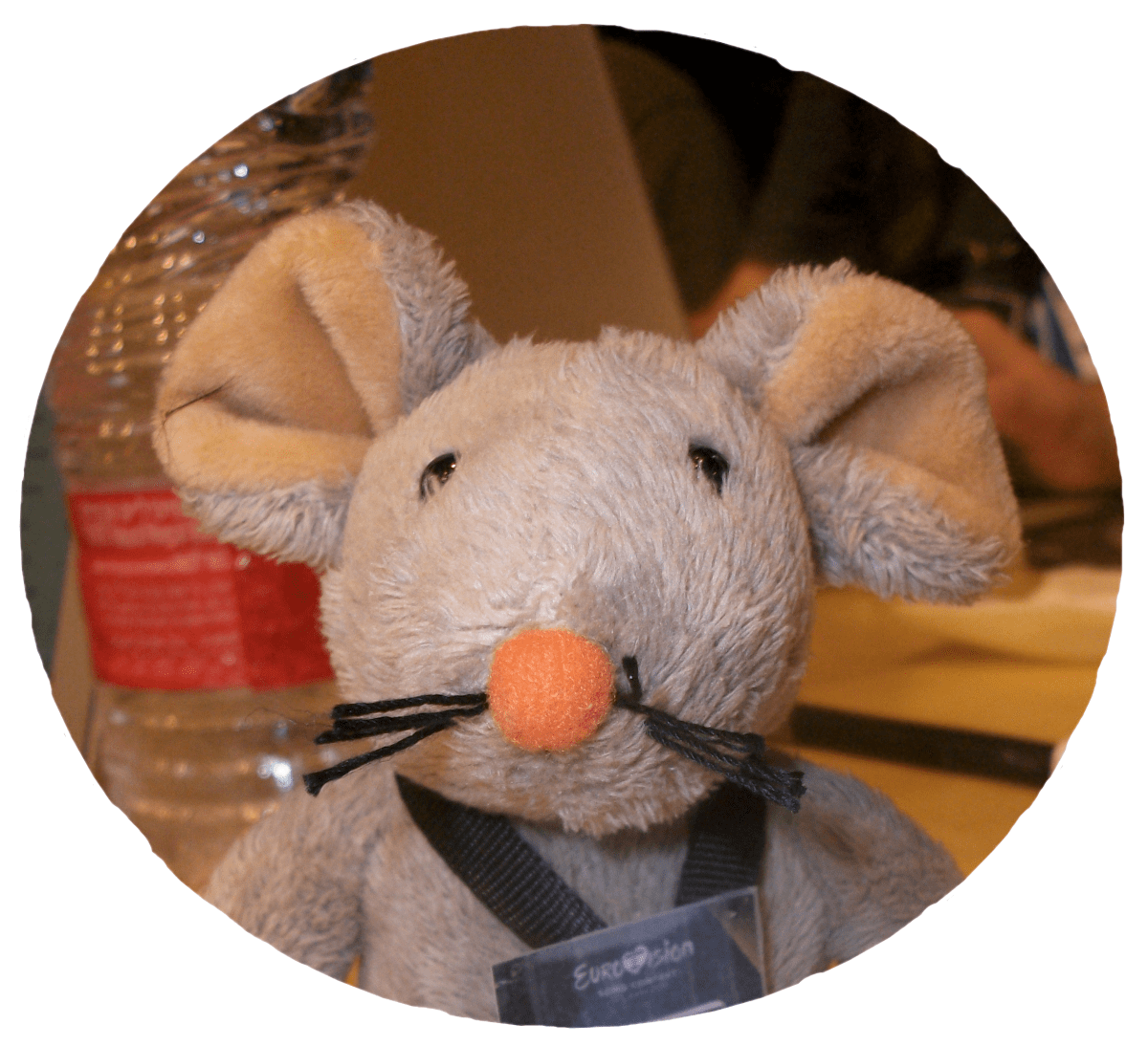 #JESC2020: Staggy reviews… Part 4 – Eurovision Ireland